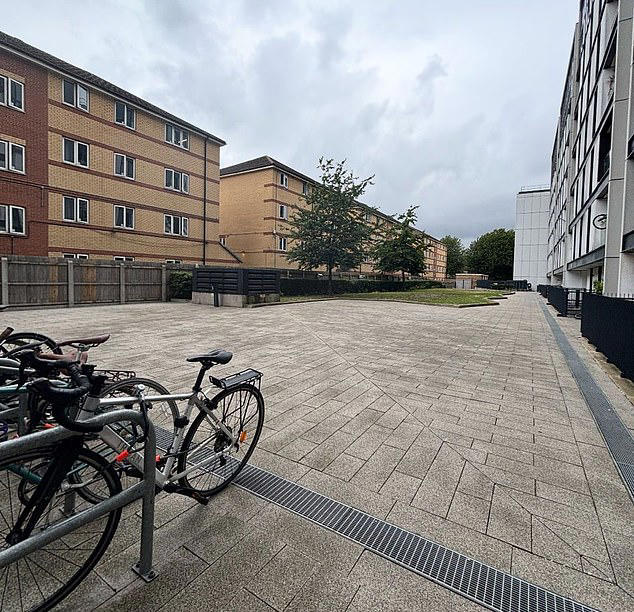 Tragedy left family of three fall to death from London tower block