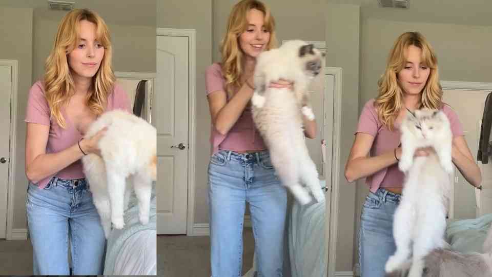 Does your cat pass the ragdoll test?