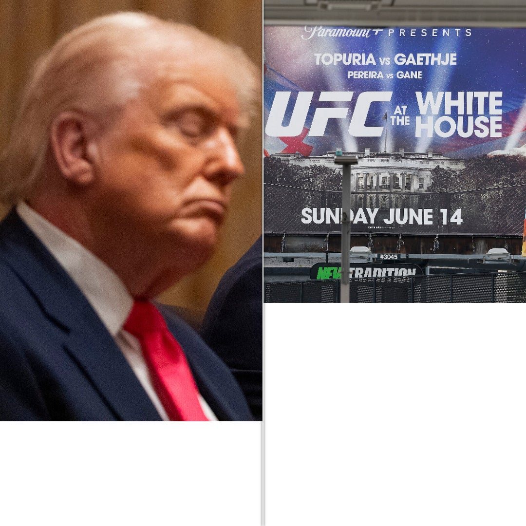 Donald Trump is completely 'out cold' in New Yorker's damning UFC ...