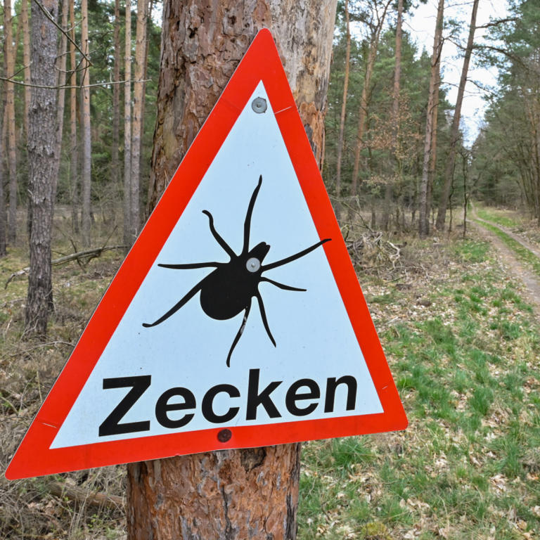 Weiteres von Zecken übertragenes Virus auch in Österreich