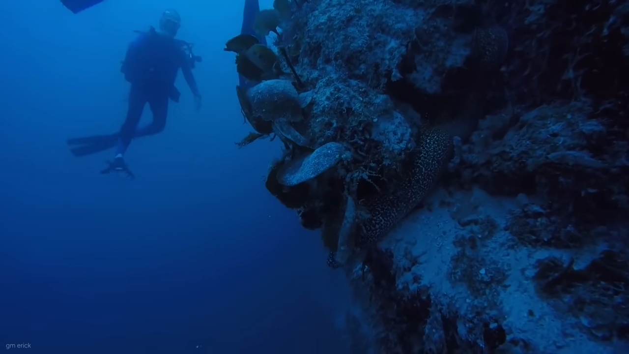 A 1,000 foot circle was hiding in the ocean - then the crew found the ...