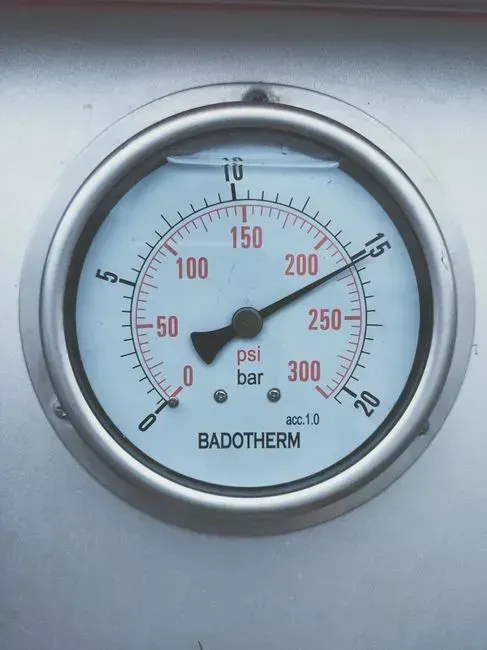 8 old weather prediction methods making a huge comeback among modern ...