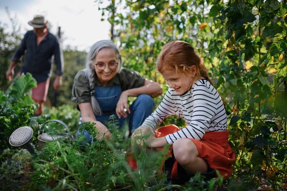 Add one kitchen scrap to your soil and slugs will stay away from garden