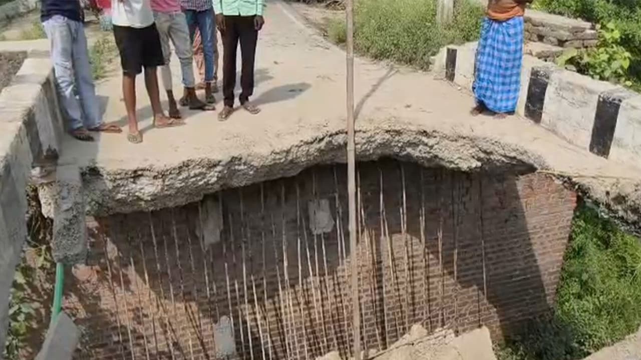 Bihar: Bridge over Dhanauti River collapses in Bettiah, halts traffic