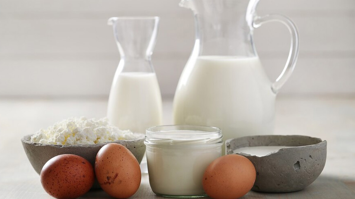 Milk vs egg: Which is the better source of protein? A dietitian explains