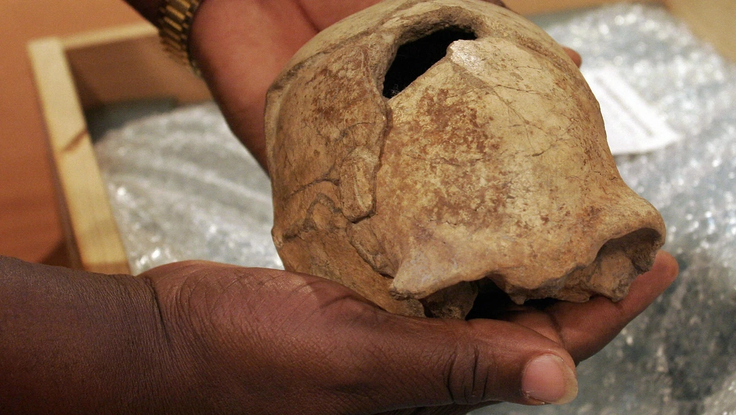 Tracing our tangled human family tree