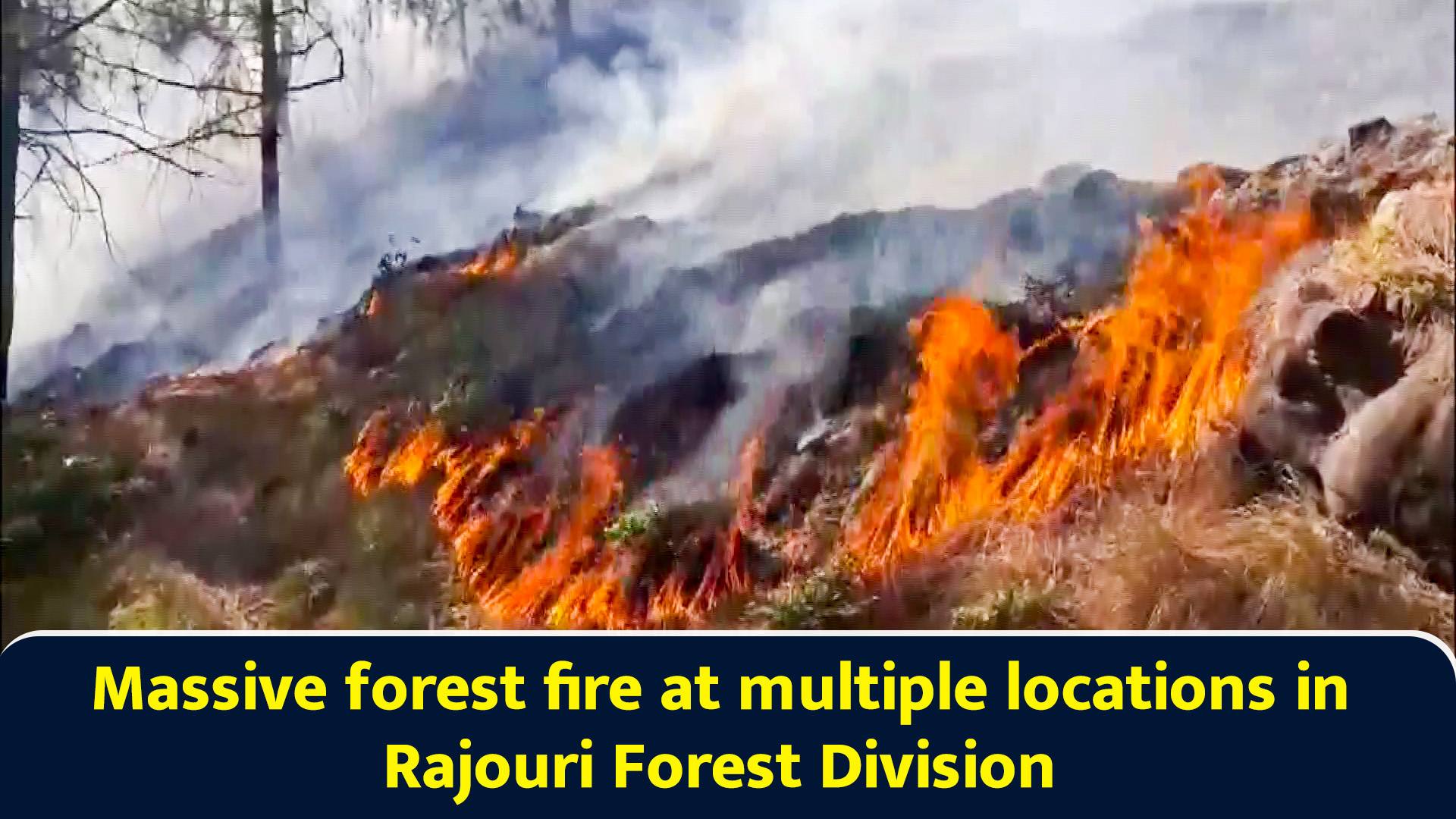 Massive forest fire at multiple locations in Rajouri Forest Division
