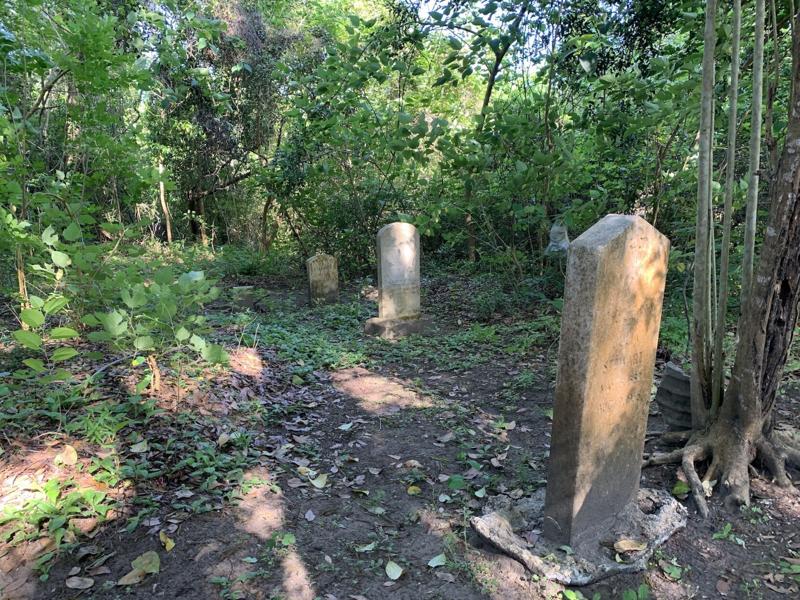 A historic cemetery by a James Island baseball field is being reclaimed ...