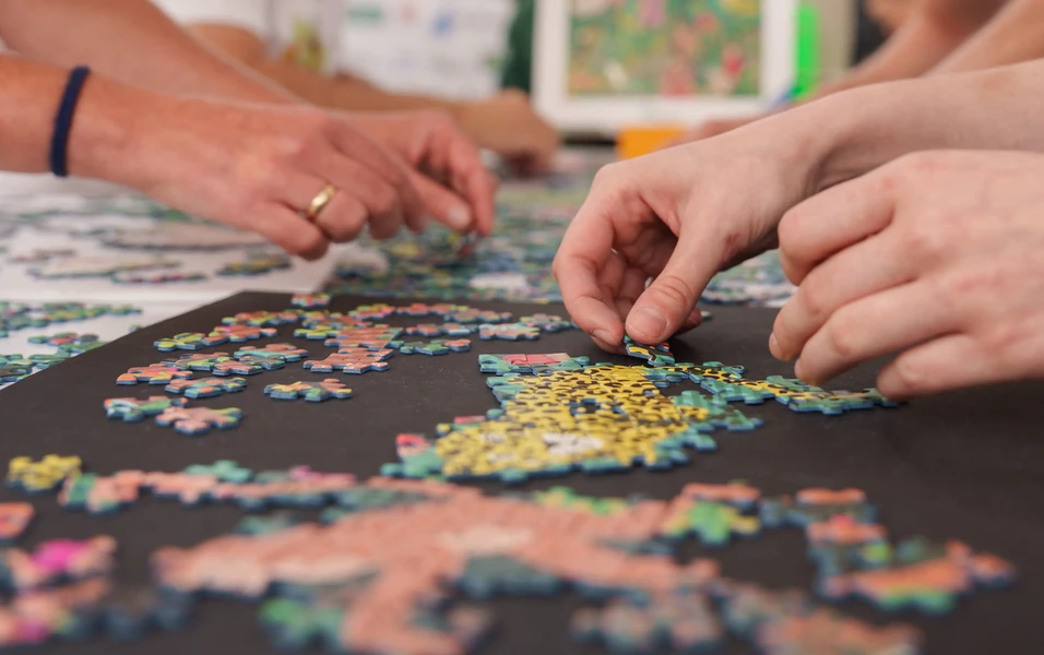 Why visual puzzles keep our brains hooked