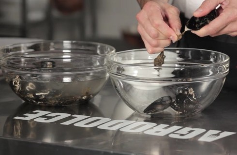 Come pulire le cozze in pochi secondi: il trucco degli chef