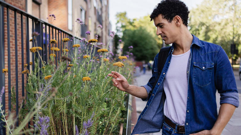 I tried this mindful walking trend and found it really improved my mood