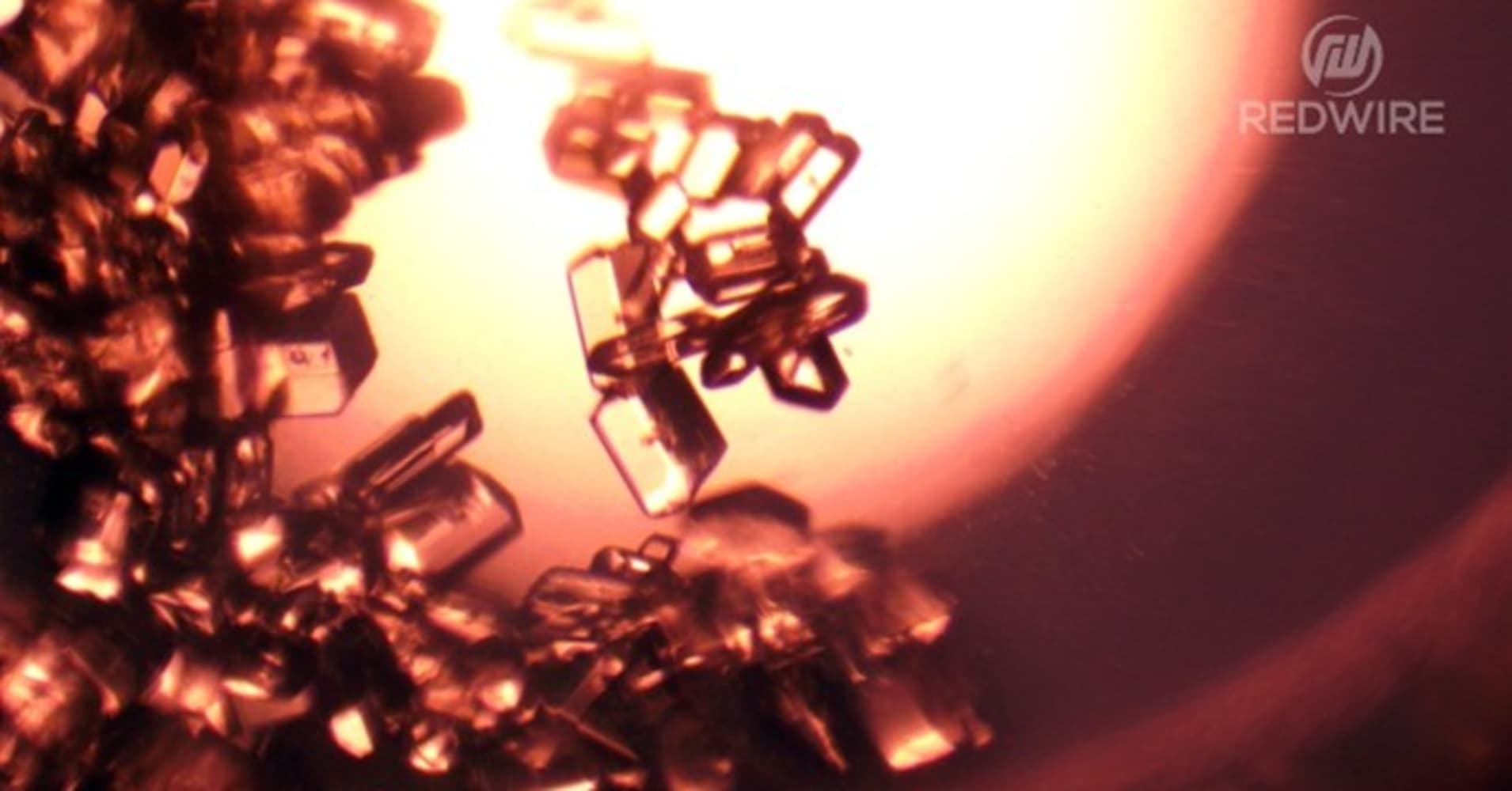 The space race is coming for pharma: Why drug development is heading to ...