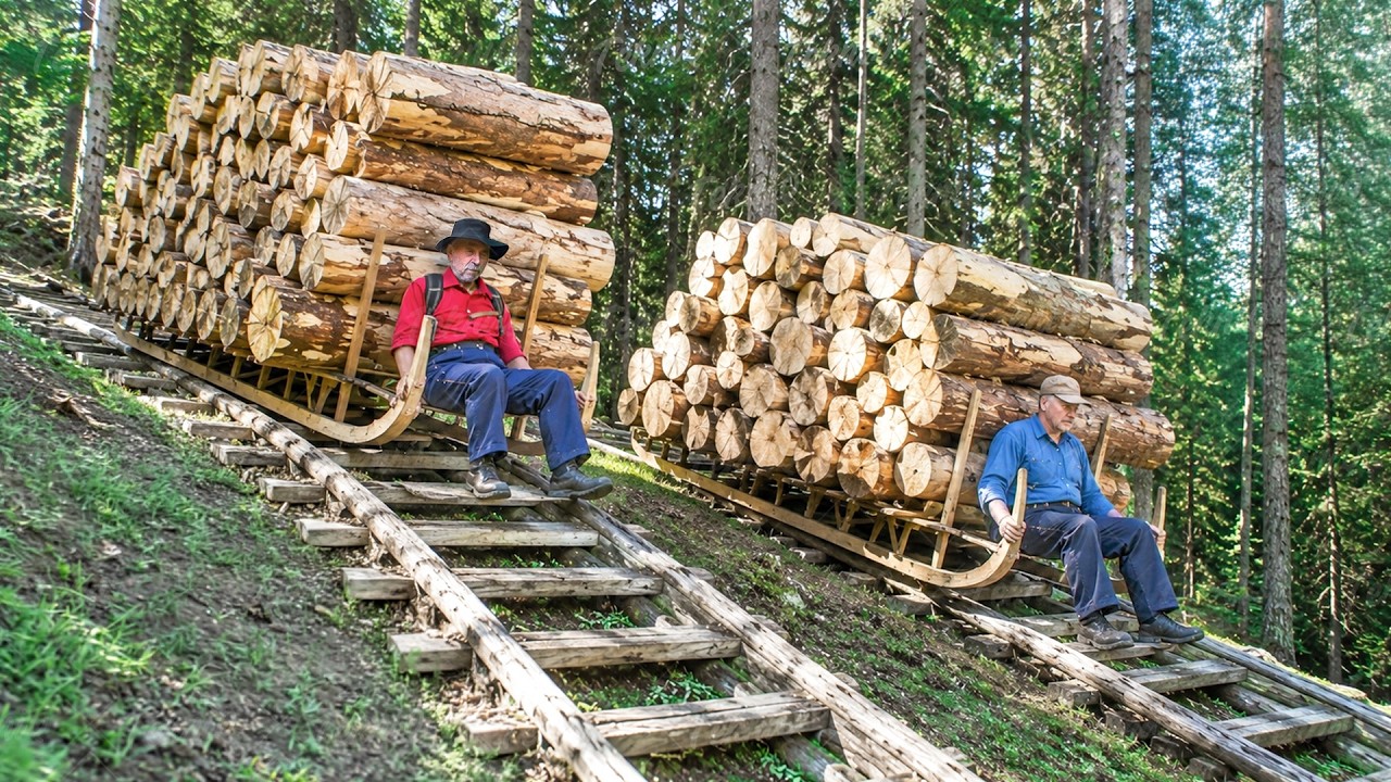 Sliding downhill with tons of fuel wood in French village