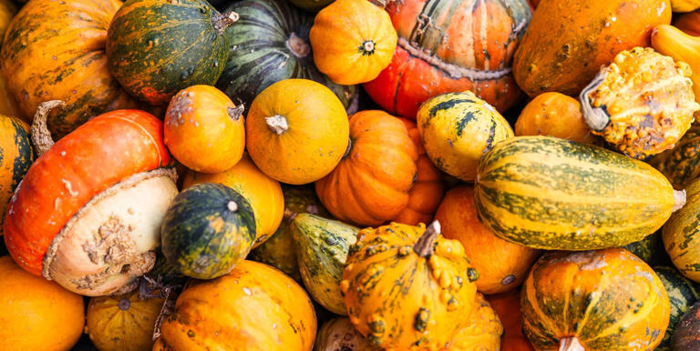 13 vegetables to plant in June for homegrown harvests that last until ...