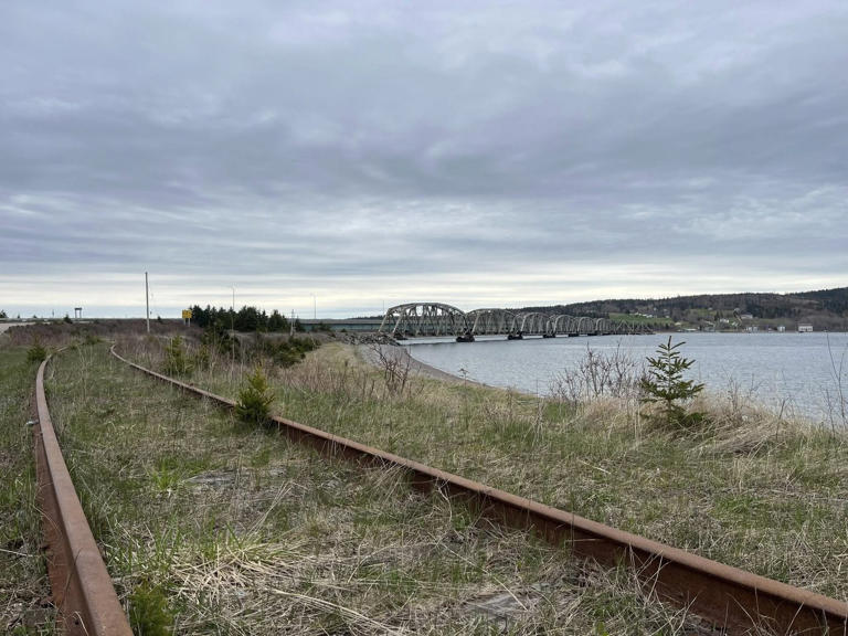 Cape Breton business leaders dream of reviving dormant rail line. Can ...