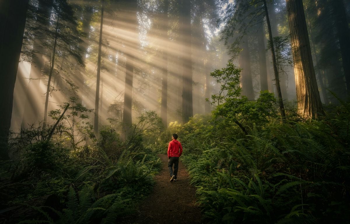 Feux de forêt : Le vent s’en mêle, l’Aude placée en vigilance orange