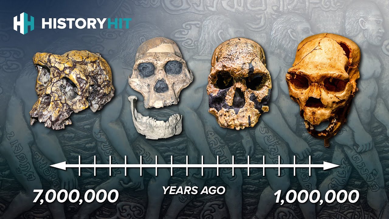 A crash course in human evolution with anthropologist Chris Stringer