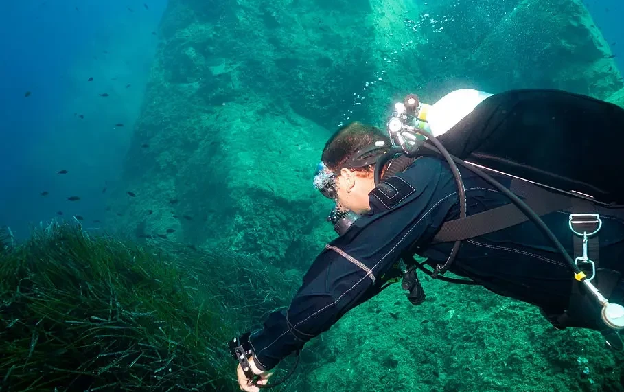 Divers capture first underwater video of Mediterranean great white
