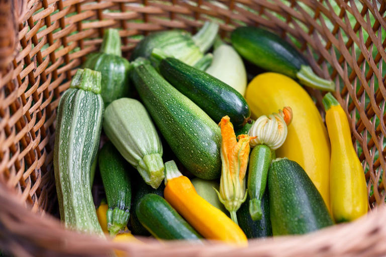 13 vegetables to plant in June for homegrown harvests that last until ...