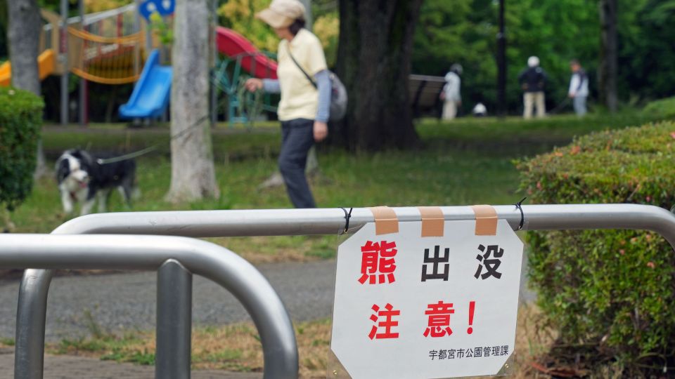 Japanese city closes nearly 100 schools after bear sightings as post ...