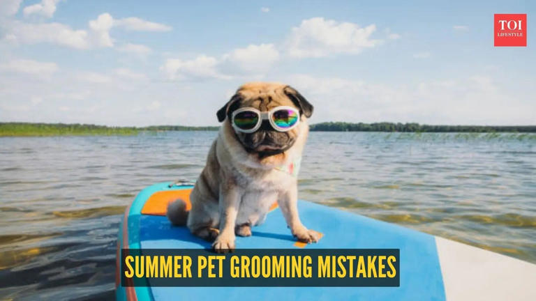 Summer grooming mistakes pet parents make without realizing