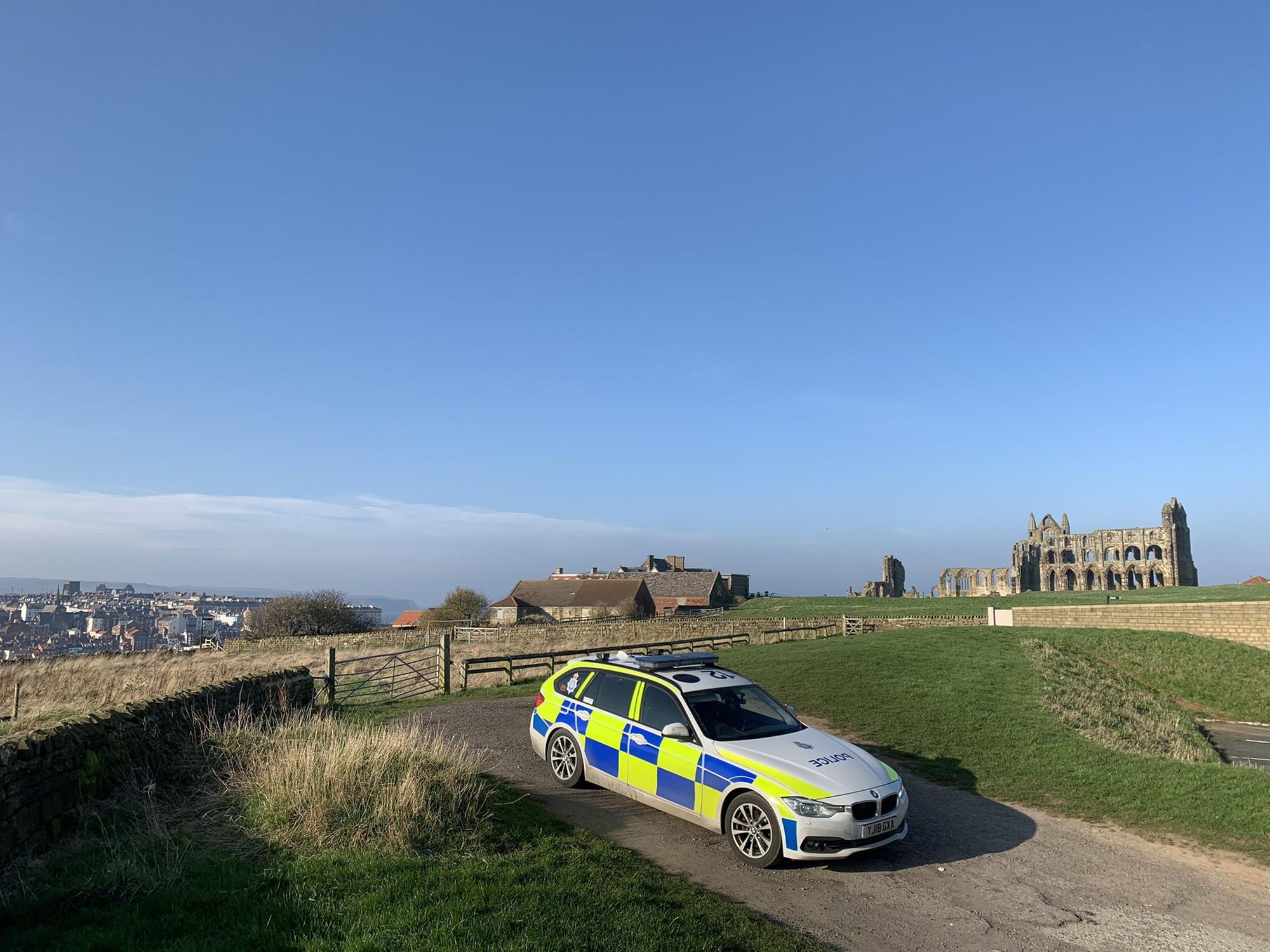 Appeal for information after cars damaged in Whitby