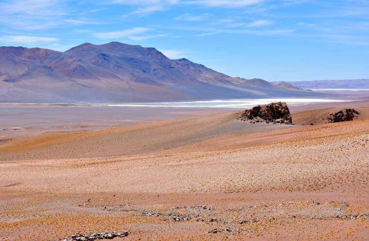 Here’s why Salar de Tara in Chile is one of the world’s best-kept secrets