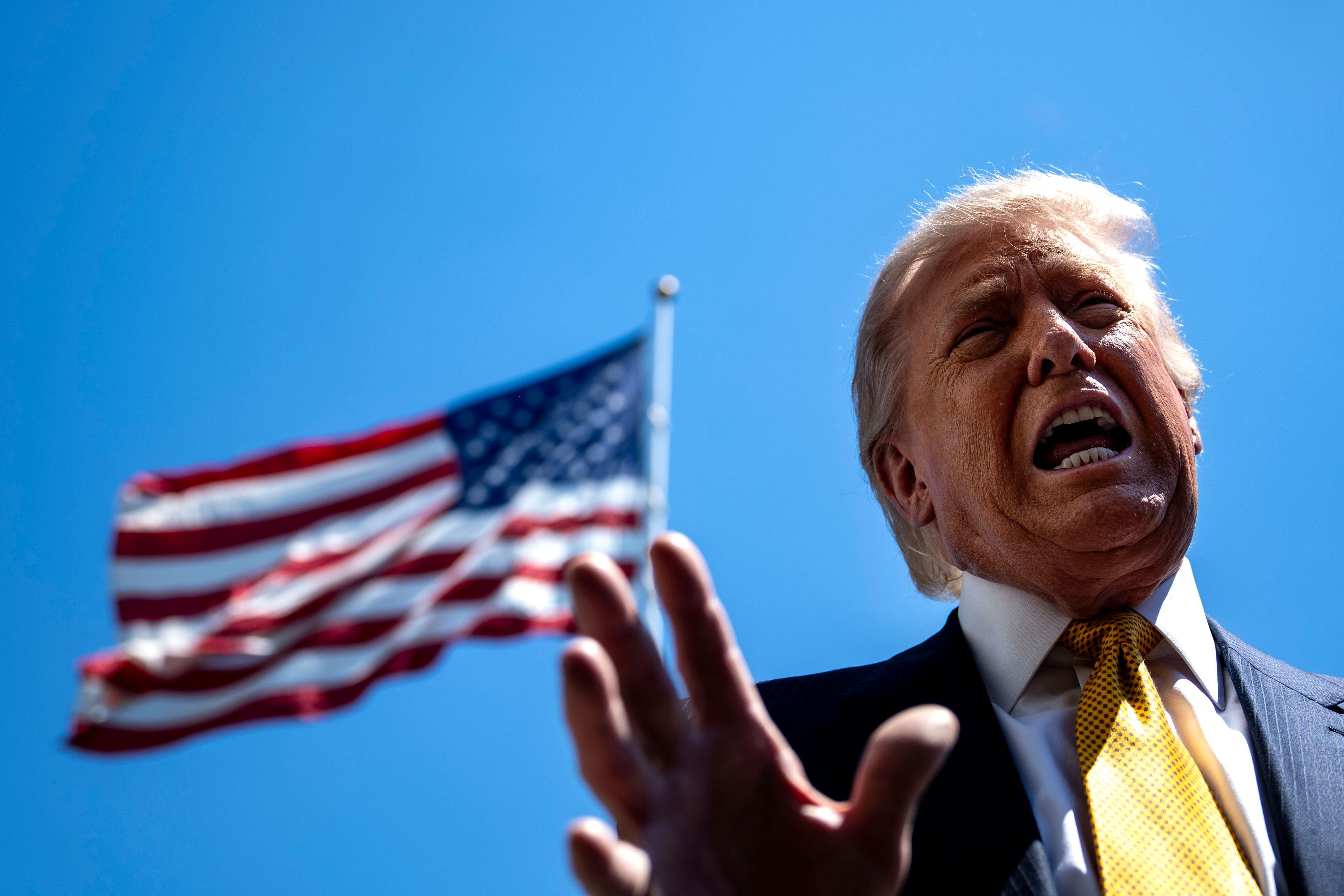 Democrats troll Trump on 'Best Friends Day' with scathing Epstein reminder