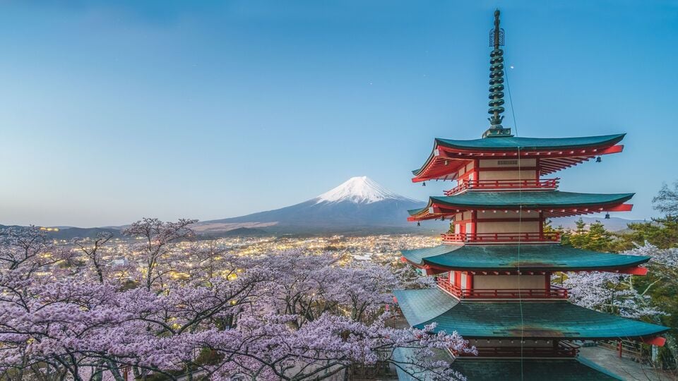 ₹2.5 lakh school trip to Japan, ₹90,000 for Goa, ₹19,000 shoes ...
