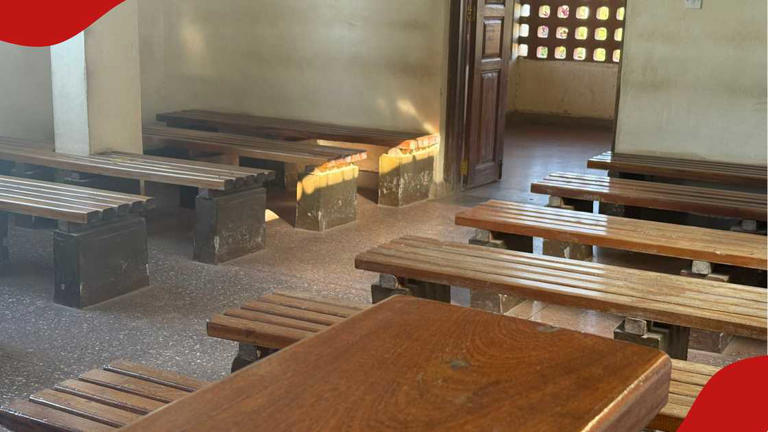 Nelson Havi blames court benches for painful hospital visit: “The pain ...