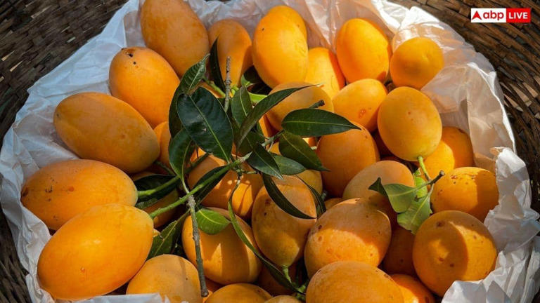 Nepal suspends Indian mango imports over pesticide residues days after ...