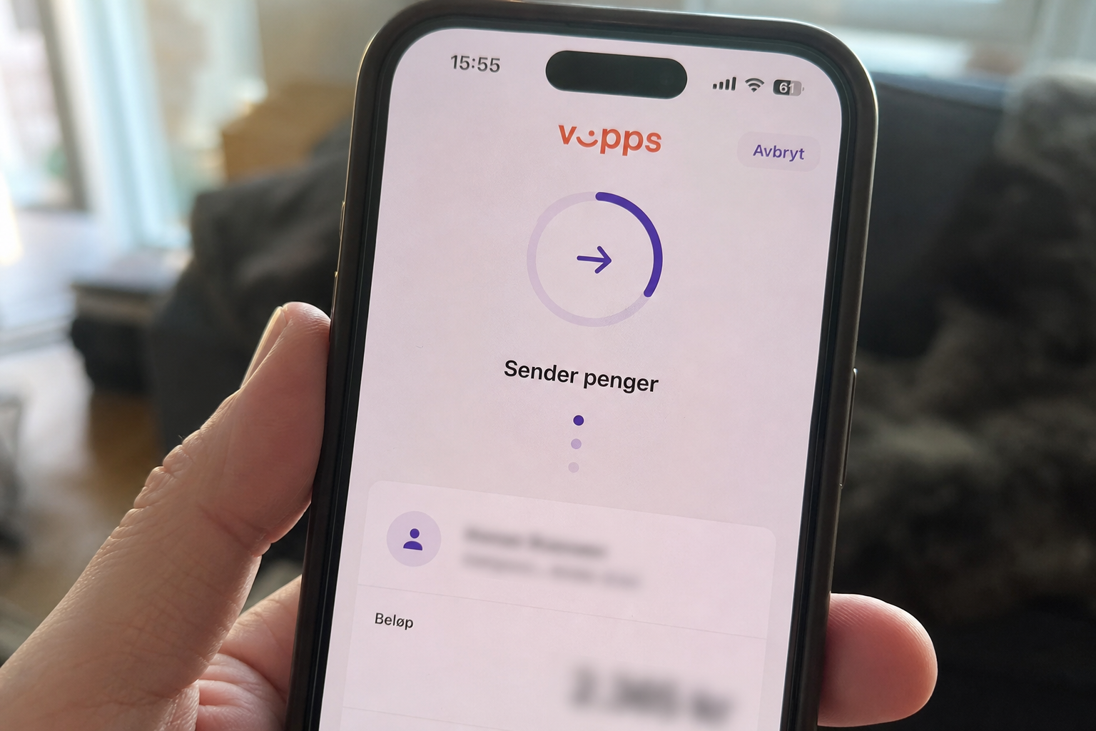 Politiet advarer mot Vipps-svindelen: Slik gjenkjenner du falske ...
