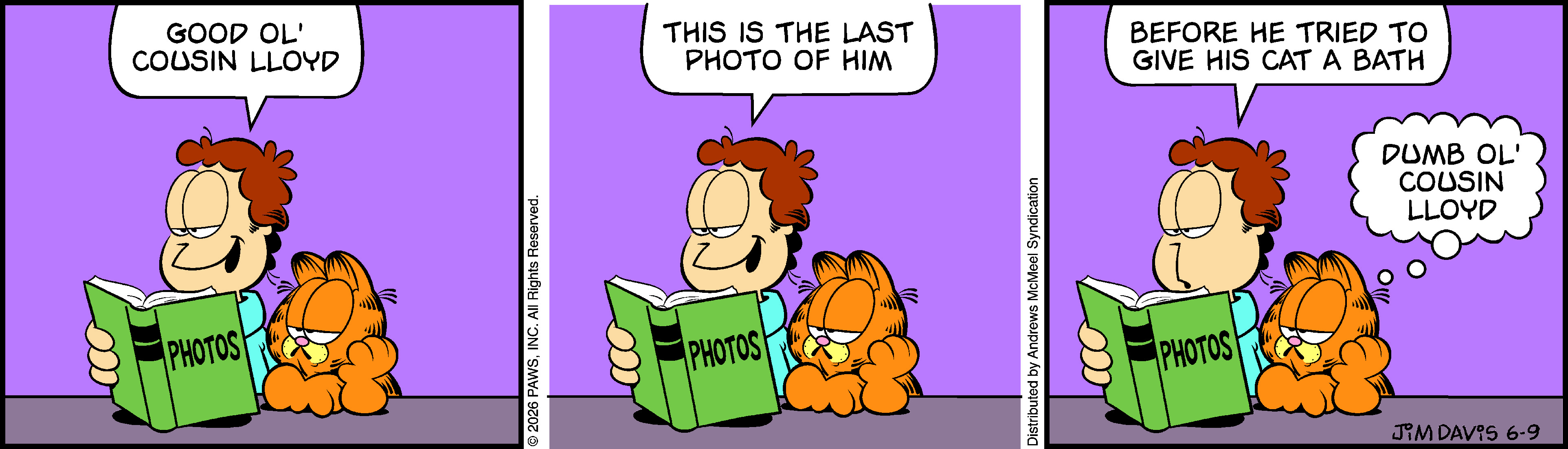 Garfield by Jim Davis