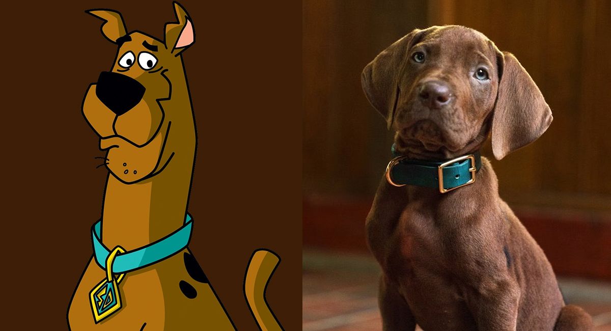 Netflix's Scooby-Doo character design controversy explained