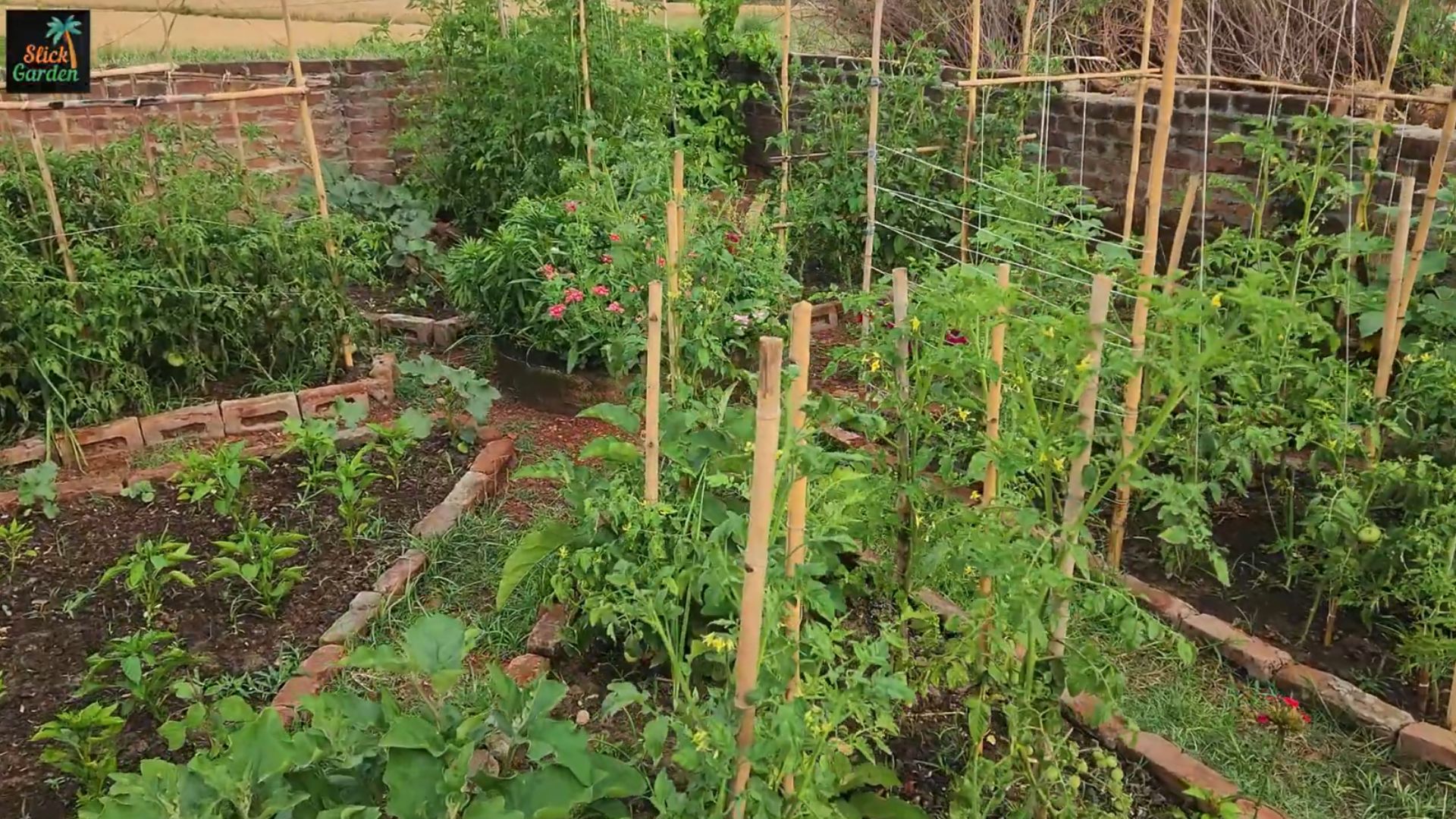 Double your garden yield with this simple wood ash fertilizer