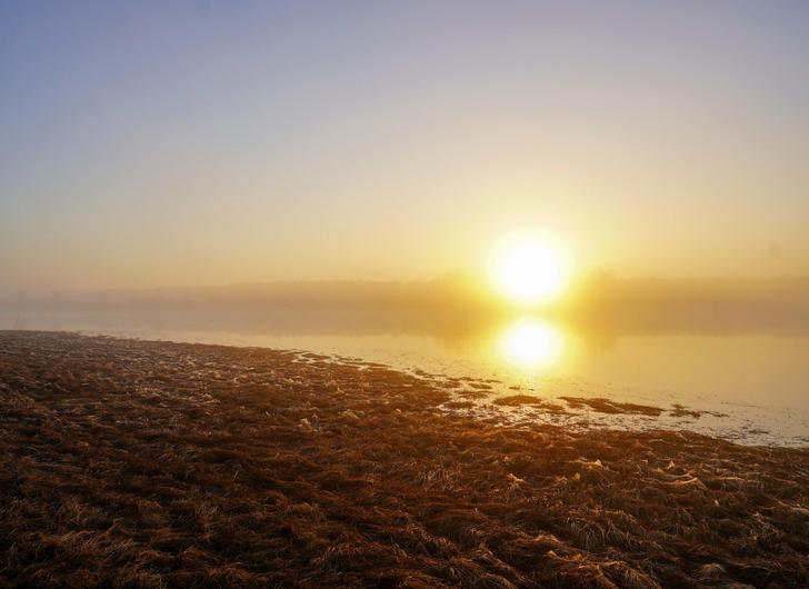 15+ outdoor stories that prove the smallest joys often make the best ...