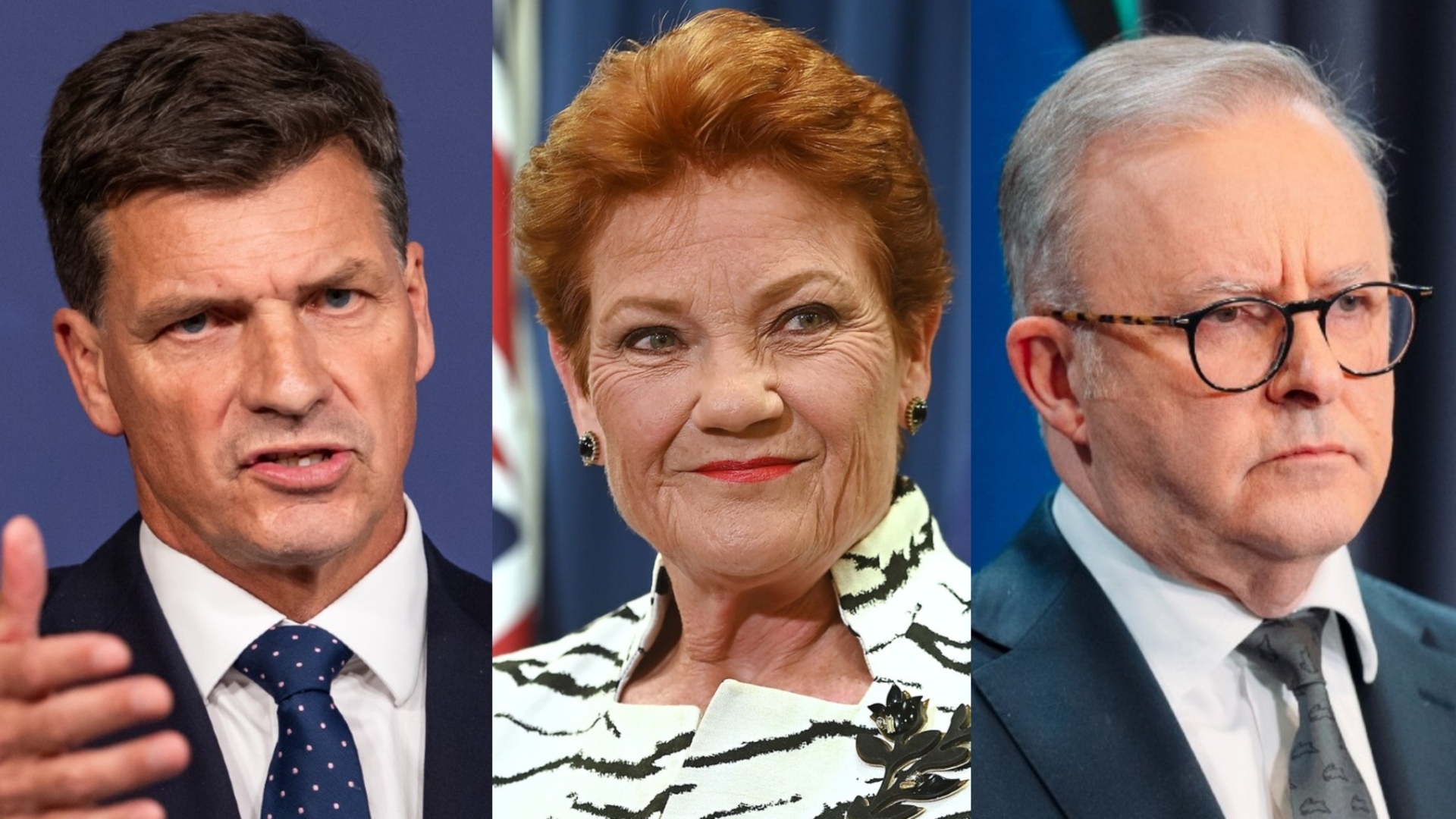 Pauline Hanson immune to criticism as politicians panic over One Nation ...