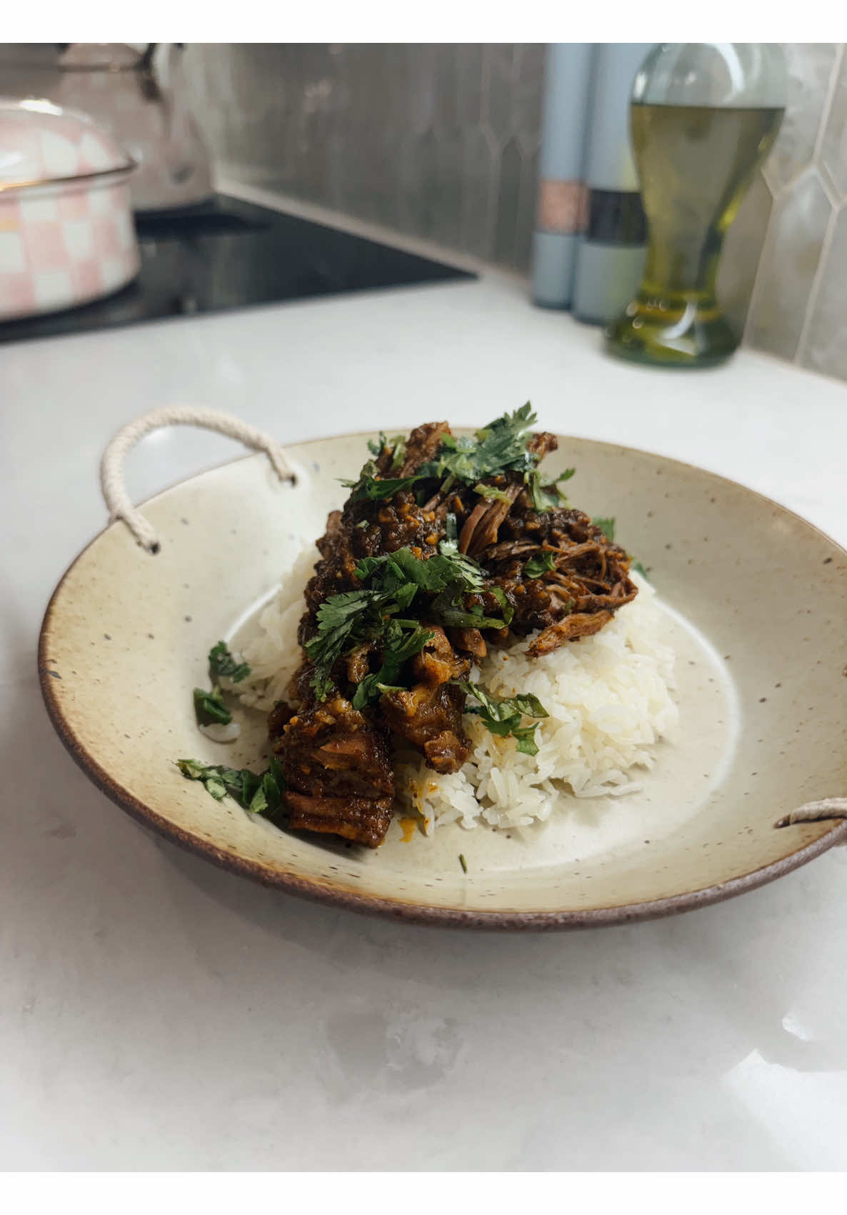 Eating a homemade pulled meat and rice dinner while sharing a little ...