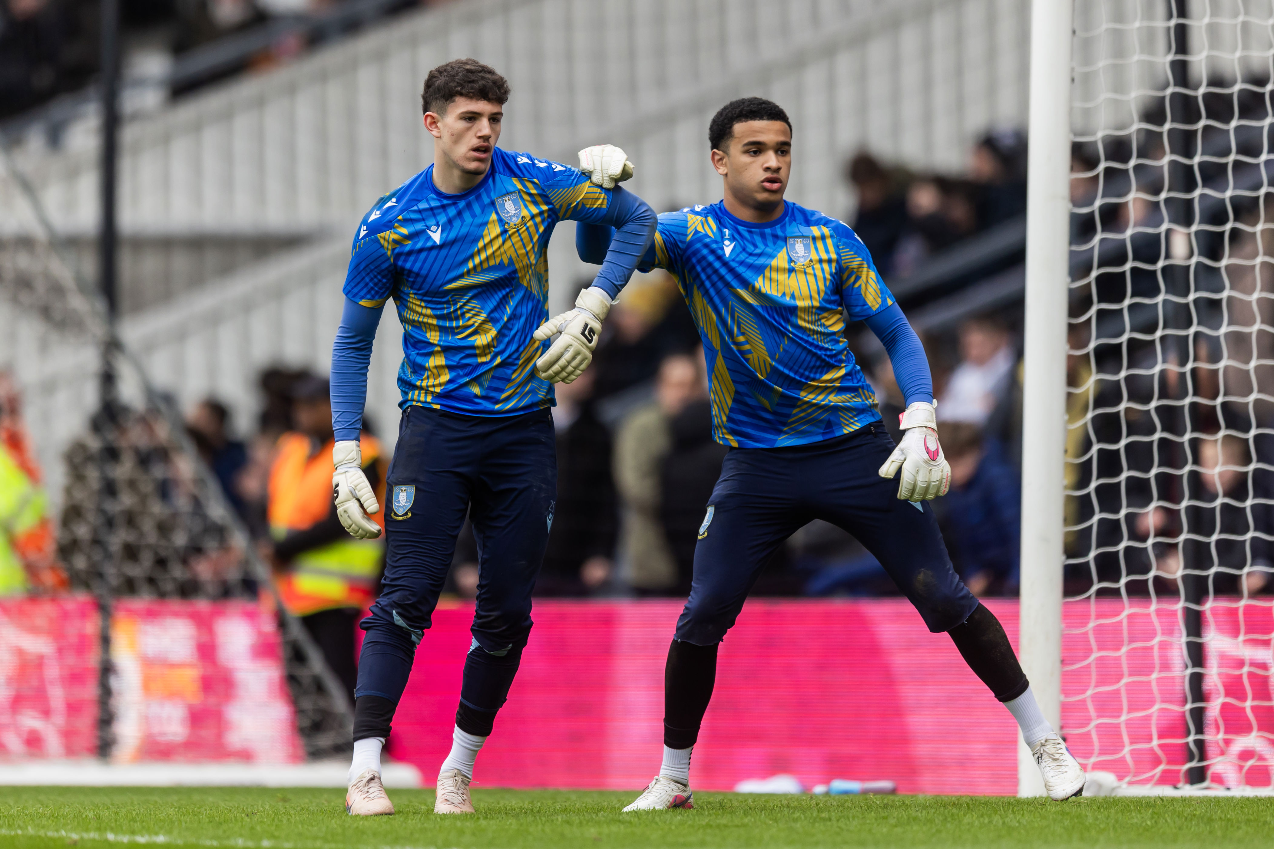 Superstars, fifth cap - how Sheffield Wednesday trio got on in ...