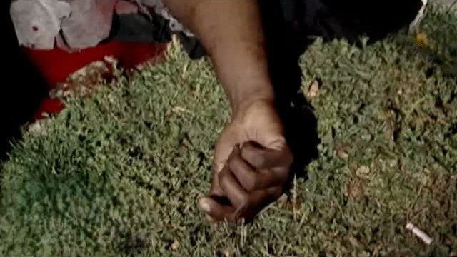 Neighbors complained about a strange smell for days - then police made ...