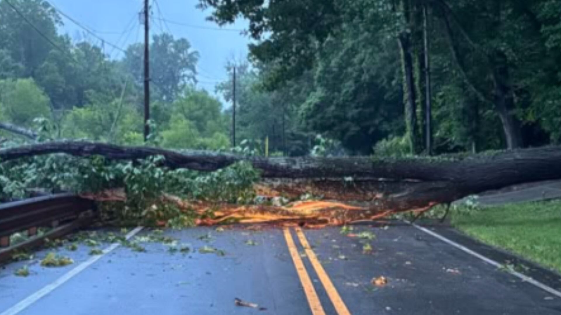 Overnight rains knock out power, down trees across metro Atlanta