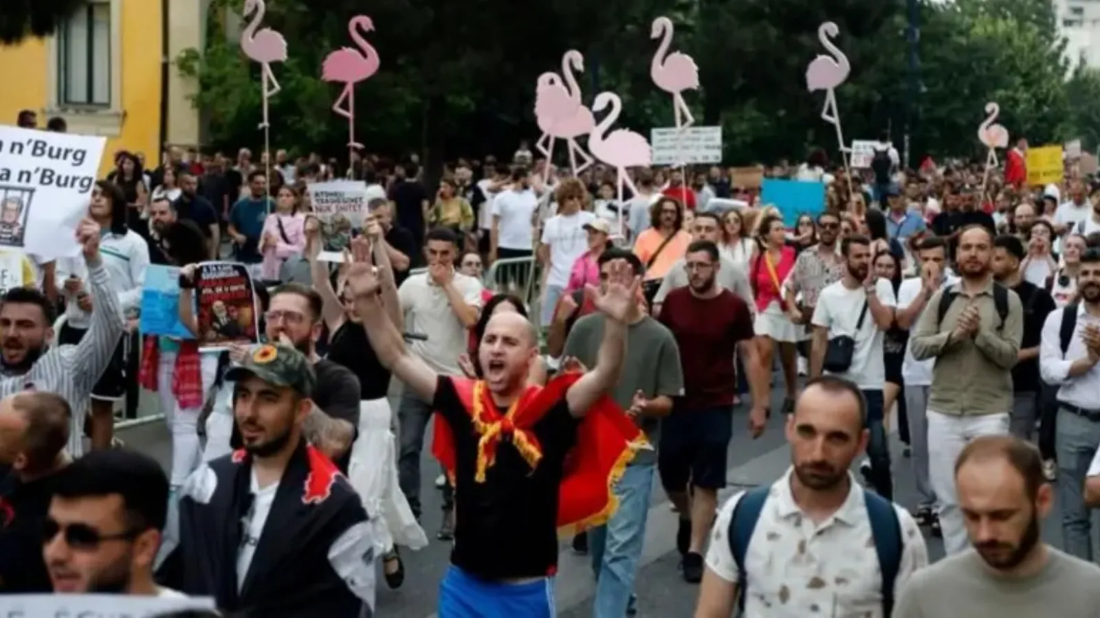Arnavutluk'ta flamingo protestoları: Nasıl başladı, neler yaşandı?
