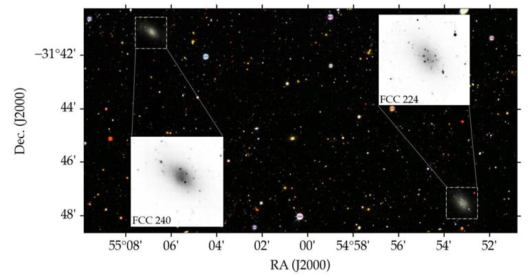 Possible dark matter-deficient twins discovered in the Fornax Cluster