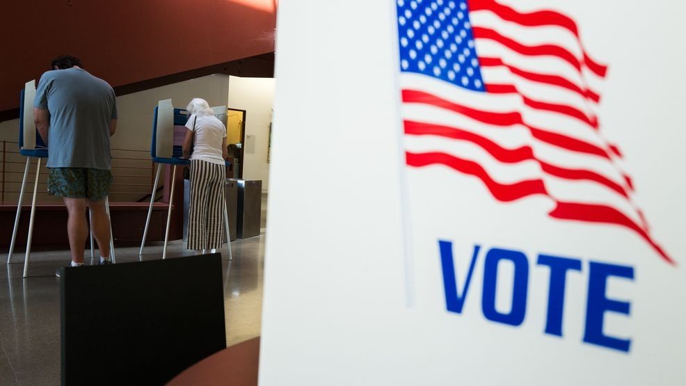 South Carolinians vote in primary elections