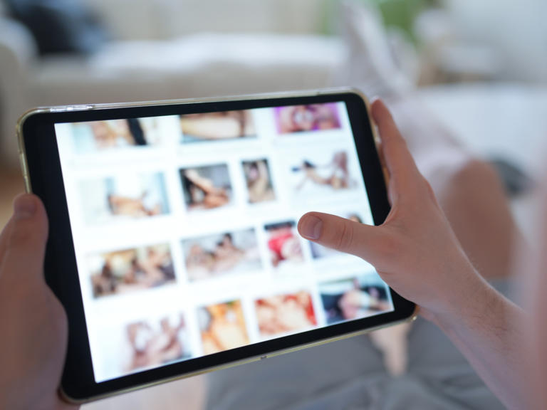 Petition fordert vom Bund Bekämpfung von Deepfake-Pornos