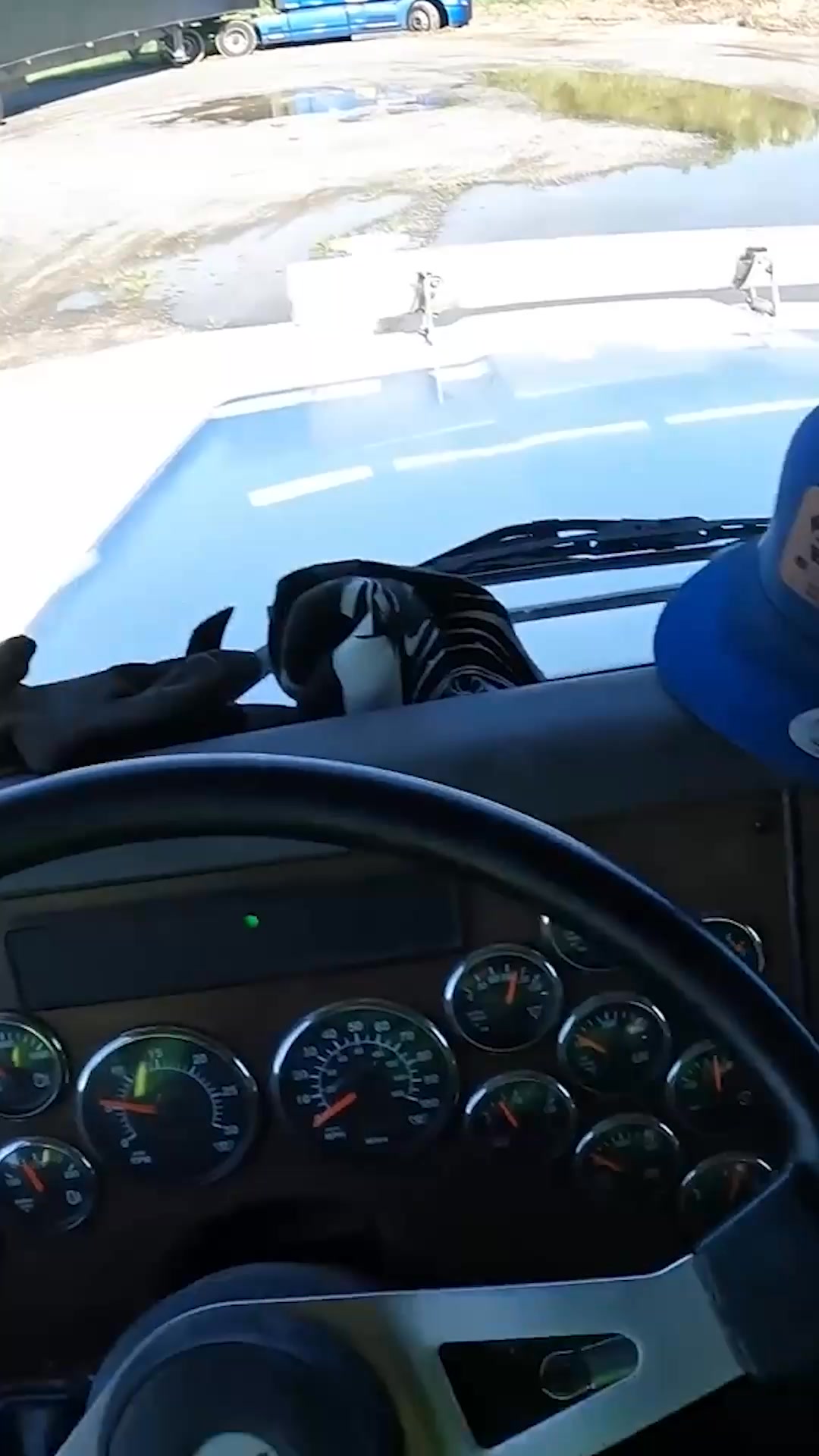 Big semi truck recovery prep in progress