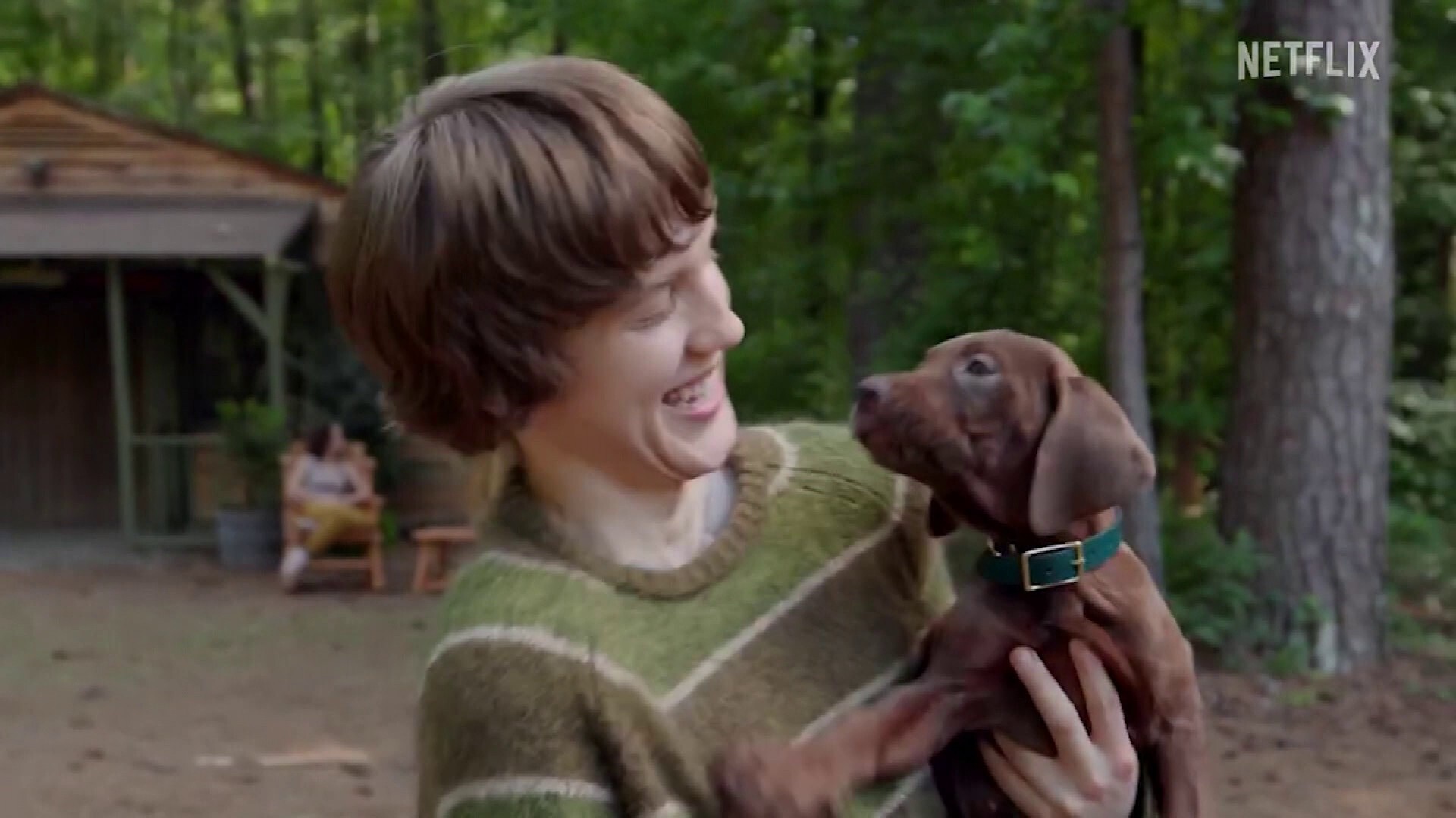 'Scooby-Doo' to be played by real dog in new live-action series