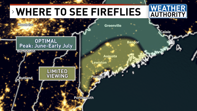 Why fireflies are becoming harder to find in Maine?