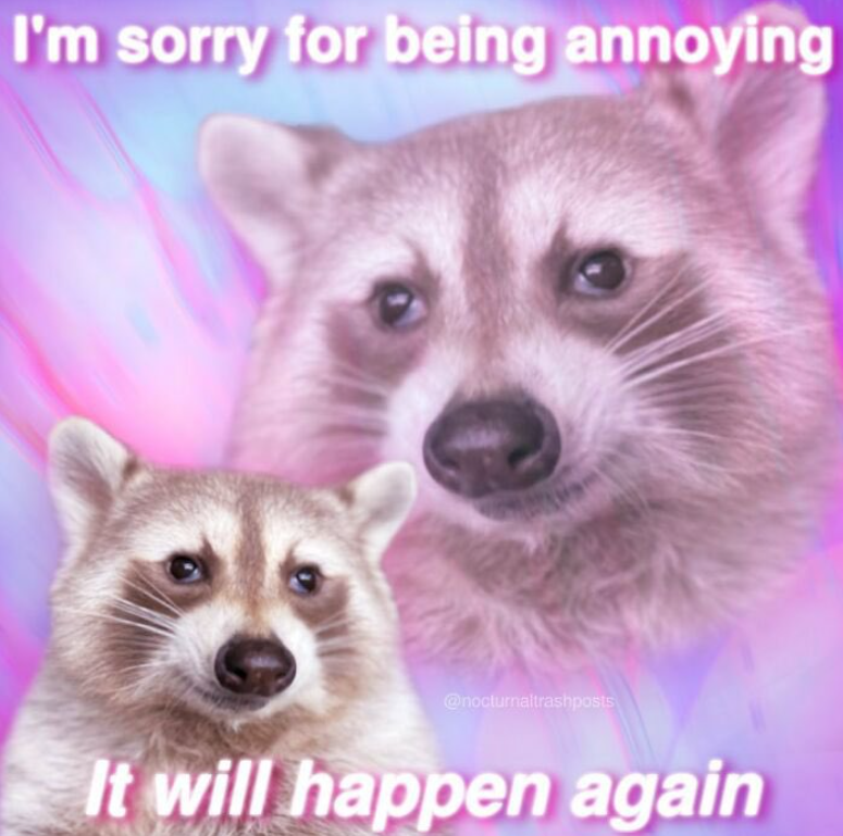 A hot air balloon of animal memes to float away in