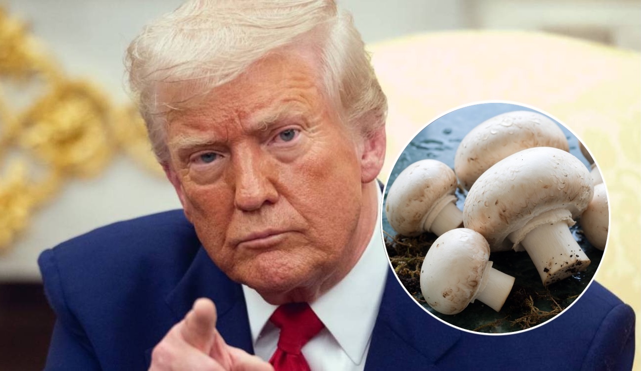 Trump impose des tarifs douaniers sur les champignons canadiens